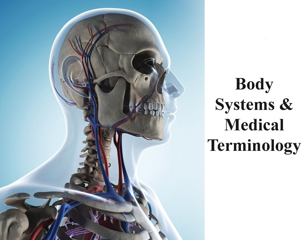 Fundamentals of Body Systems & Medical Terminology – AA4PD