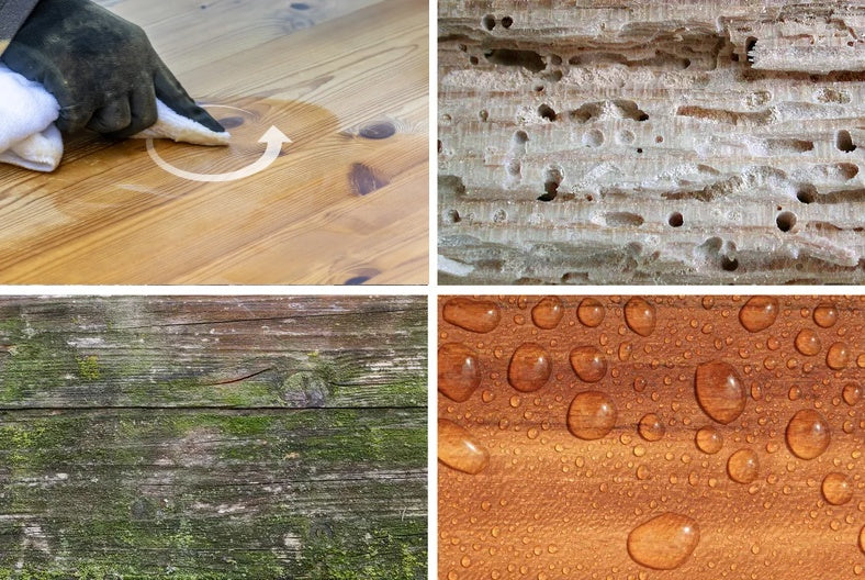 Wood Preservation & Treatment Techniques in Carpentry – AA4PD