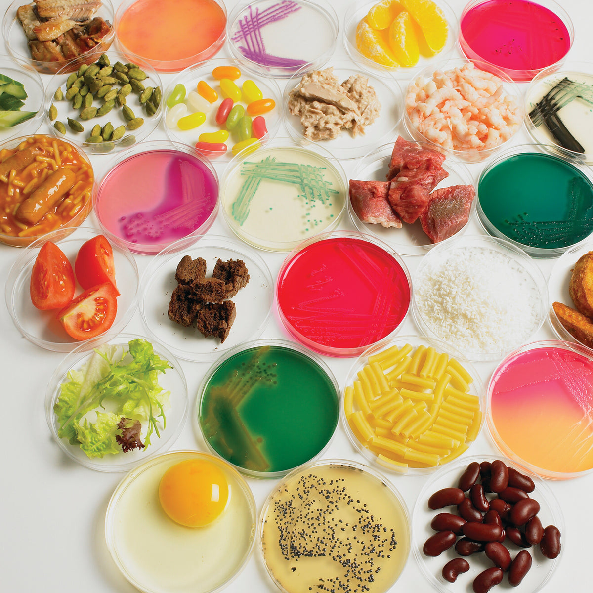 Introduction to Food Microbiology – AA4PD